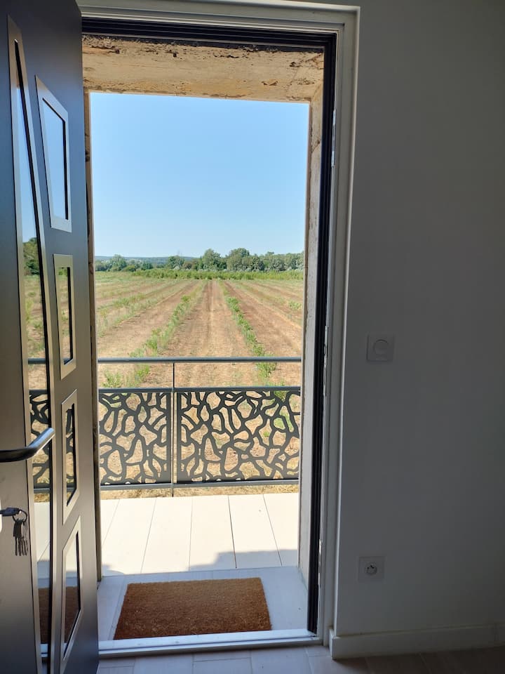Logement T2,non Fumeur, Avec Vue Sur Les Amandiers - Nîmes