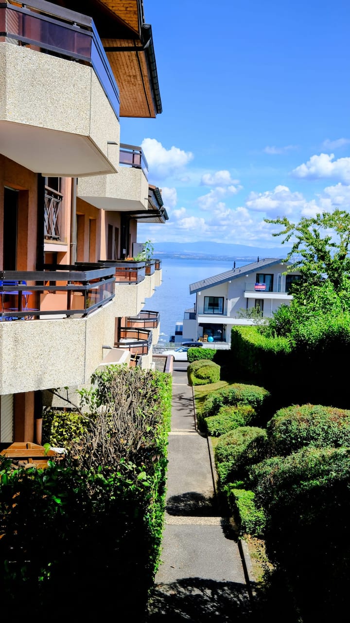 Cosy T2 Vue Lac Léman A 2 Pas Du Centre ÉVian - Évian-les-Bains