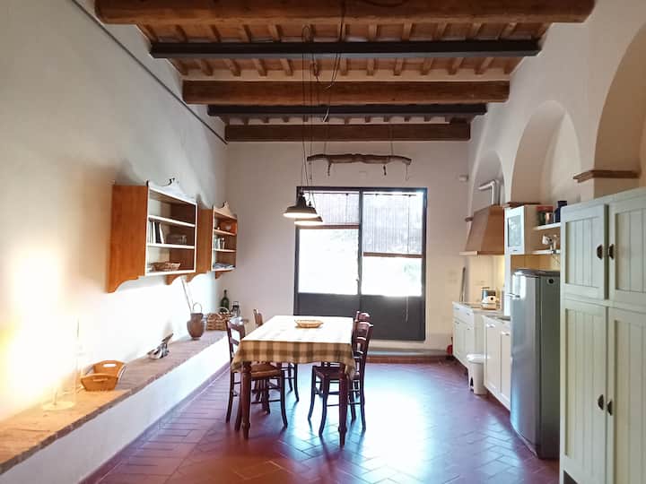 Wohnung "Negozio" In Weingut - Pontedera