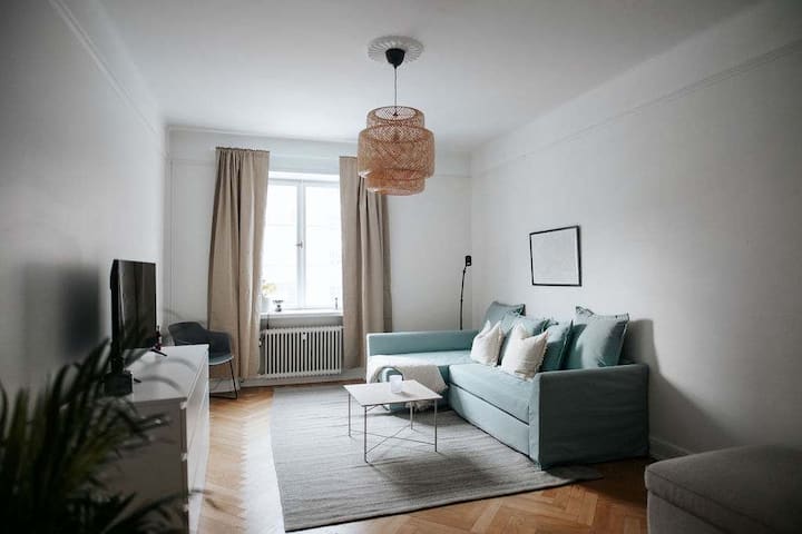 Comfortable And Well Planned Apt In Stockholm - Stockholm