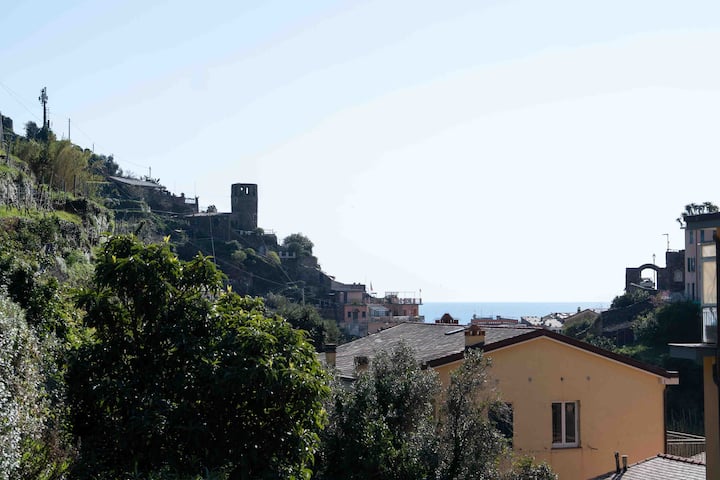 Vernazza Rooftop - Penthouse Apartment - Vernazza