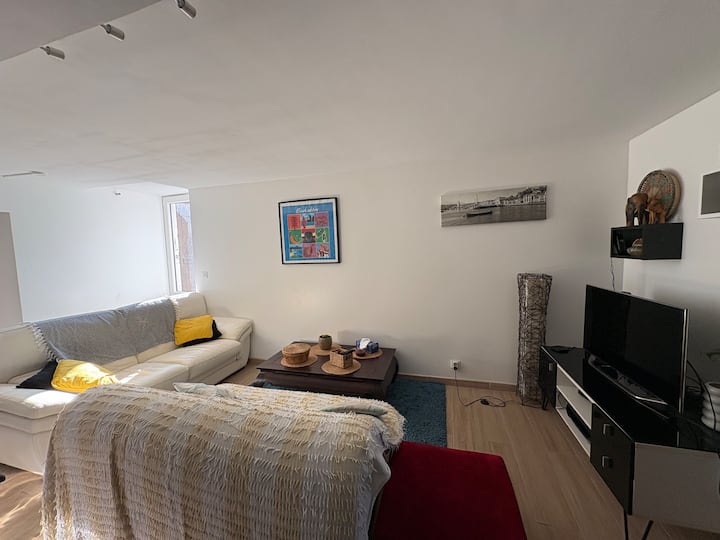 Appartement En Rez De Jardin Hendaye - Urrugne