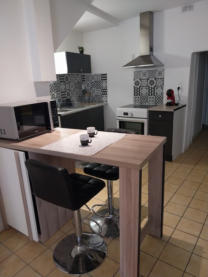 Appartement T2 Au Cœur De Riom - Châtel-Guyon