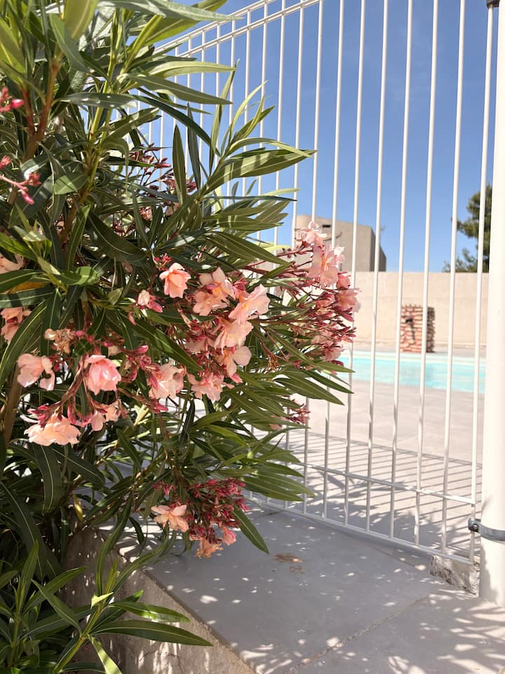 Studio Madeleine Dans Les Alpilles - Fontvieille