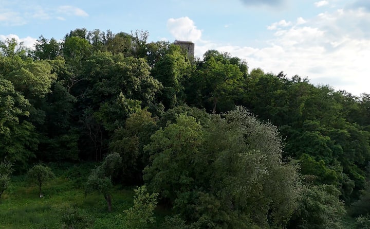 Apartment Am Kalsmunt - Wetzlar