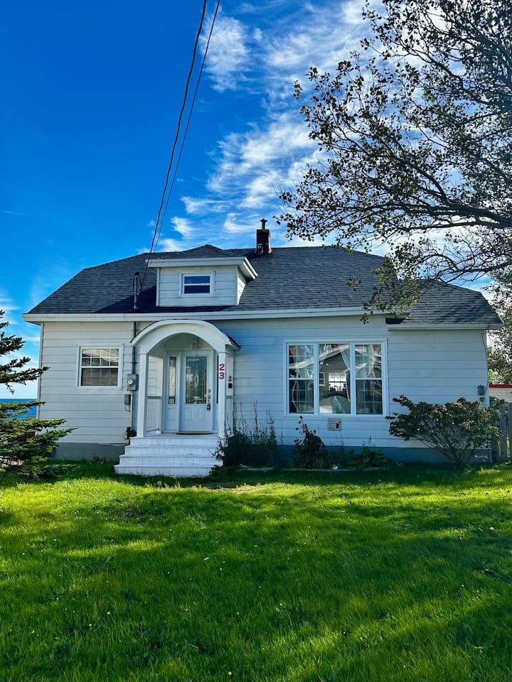The Pink Puffin House - Bonavista