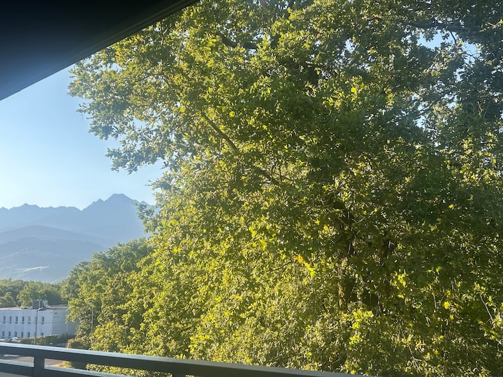 Appartement Au Cœur De Meylan Face à Belledonne - Meylan