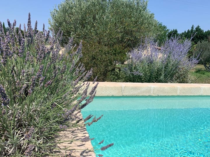 Maison Et Bassin Provençal Au Milieu Des Oliviers - Les Baux-de-Provence