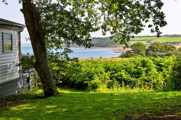 Seascape - Isle of Wight