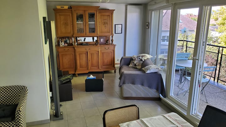 Appartement à Benfeld Pour Famille 2/3 Enfants - Benfeld