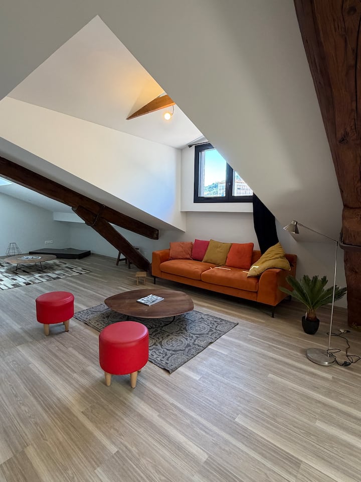 Appartement 80 M² Centre-ville D'alès - 6 Pers. - Alès