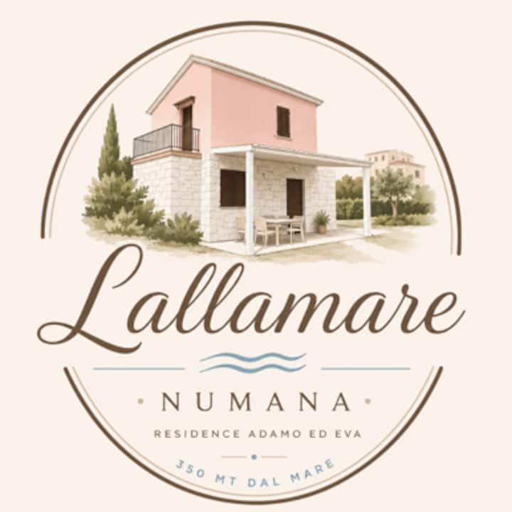 Lallamare | Comfort E Mare A Numana - Numana