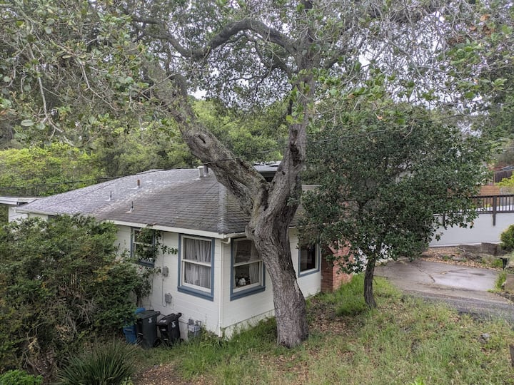 Creek-oak Escape In Belmont: Share Residing Deer - San Mateo, CA