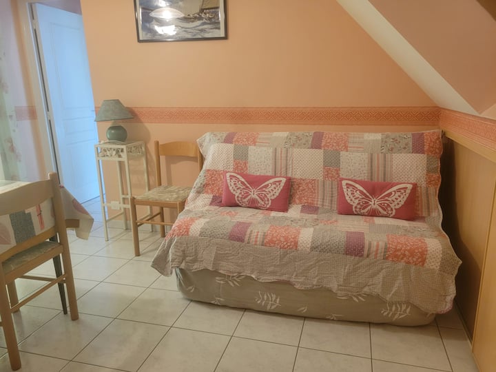 Appartement 1 Chambre Avec Jardin - Locmariaquer