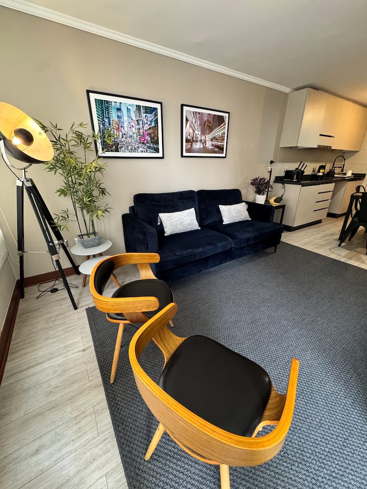 Maravilloso Apartamento En Pleno Centro - Santiago, Chile