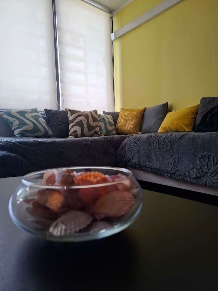 Amplio Departamento - Providencia