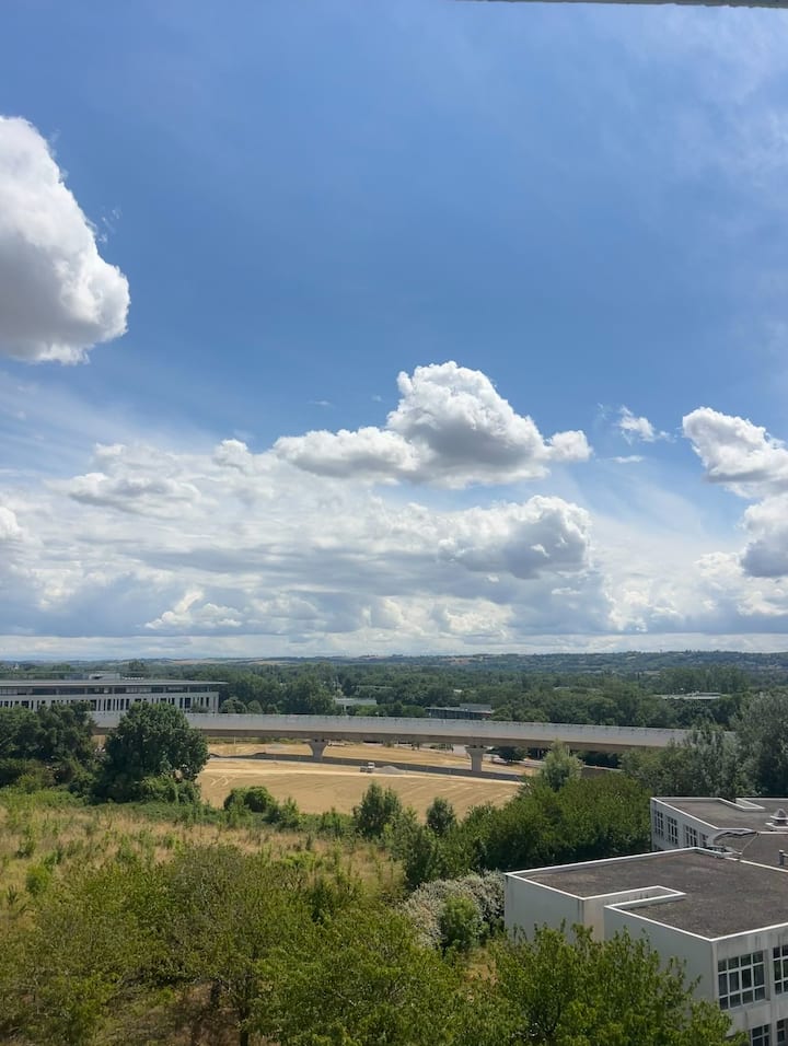 T1 Calme Plein Sud Balcon - Labège