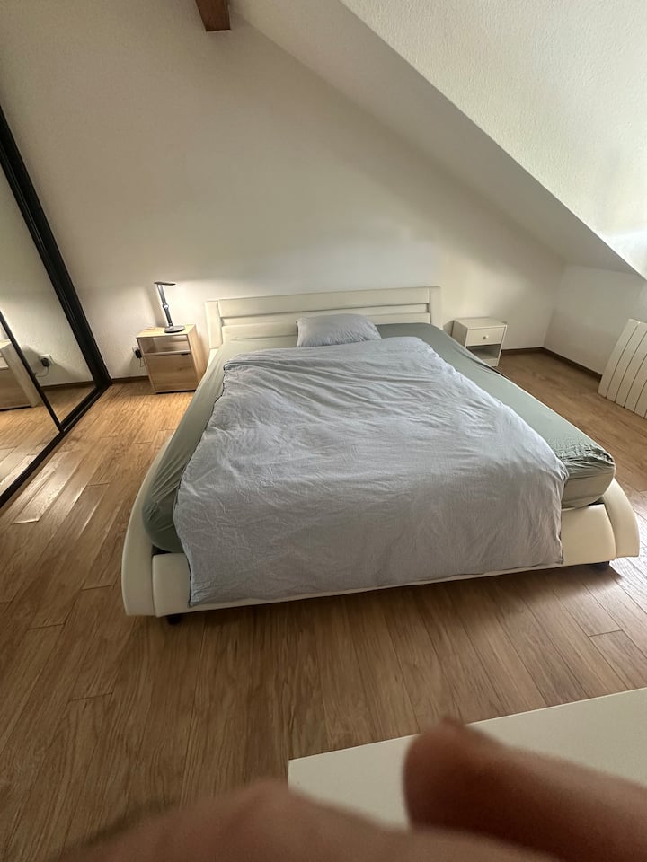 Belle Chambre Un Grand Lit Près Du Centre Et Gare - Strasbourg