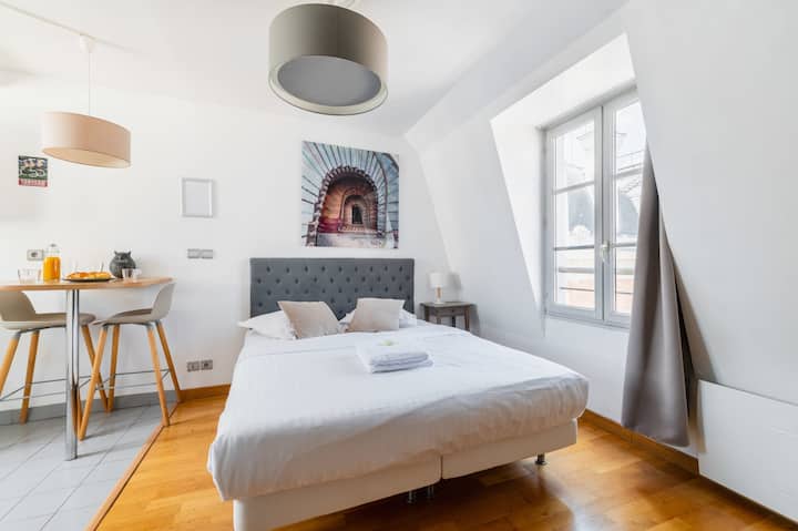 Jardin Des Plantes View Studio W/ High-speed Wifi - ibis Styles Paris Tolbiac Bibliotheque