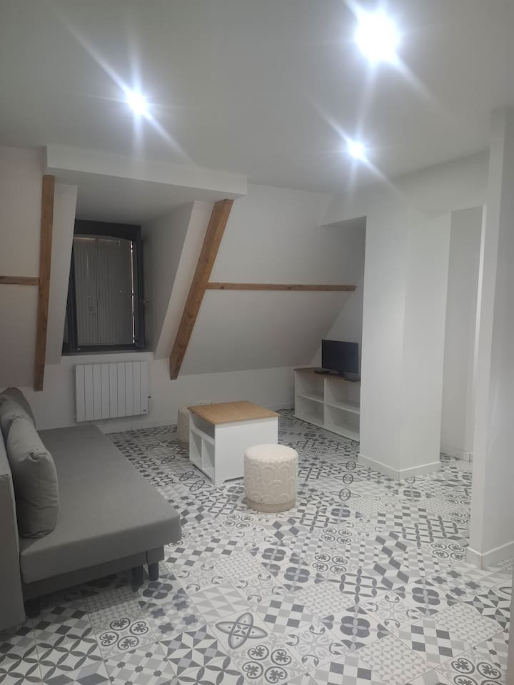 Appartement Au Cœur Des Eyzies De Tayac. - Limeuil