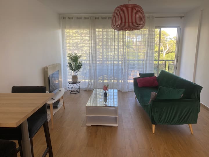Appartement - Montpellier
