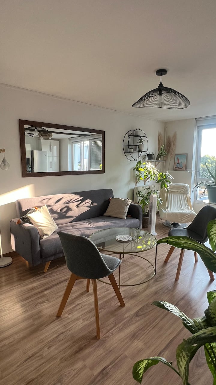 Le Setubal: T2 Lumineux  Dernier ÉTage  Parking - Rennes