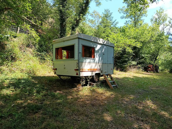 Chic & Bohème
Caravane Vintage
Guinguette - Aydat