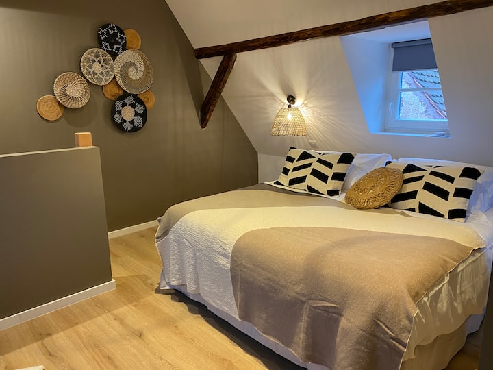 Merveilleux Duplex Au Centre-ville D'obernai - Obernai