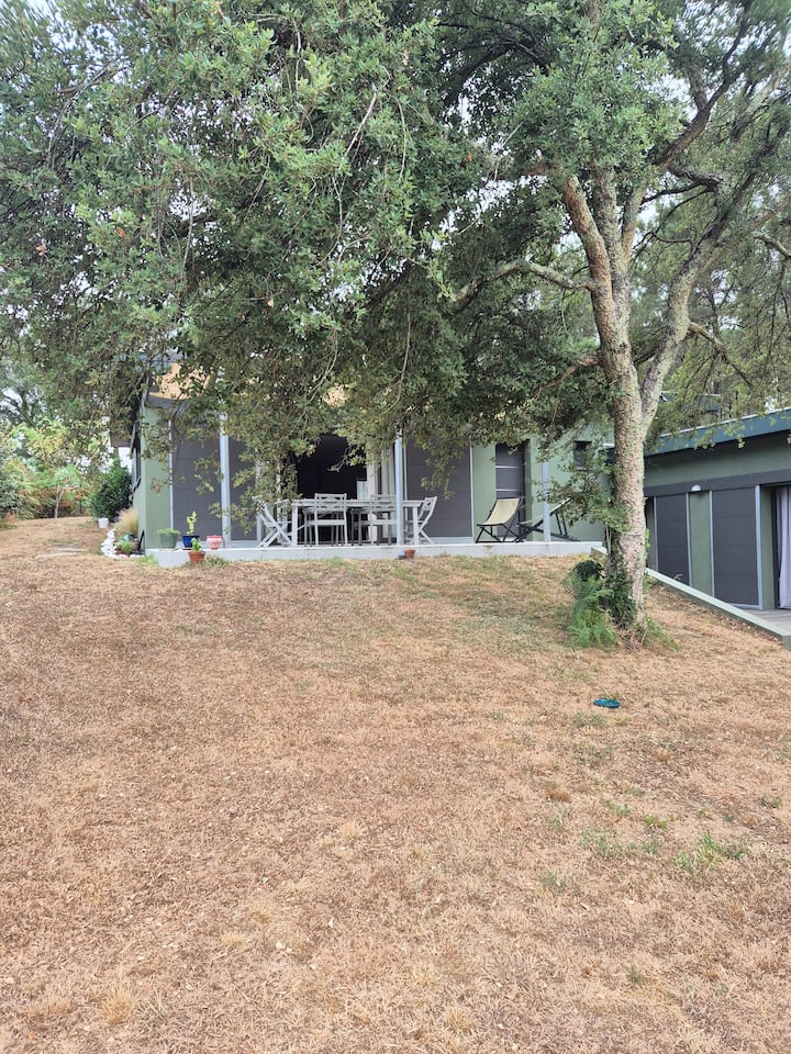 Maison Sous Les Pins à Labenne Bourg - Capbreton