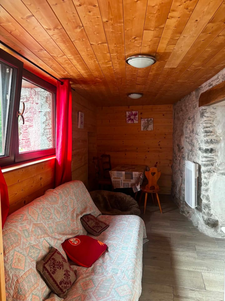 Studio Charmant En Montagnes ! - La Plagne-Tarentaise