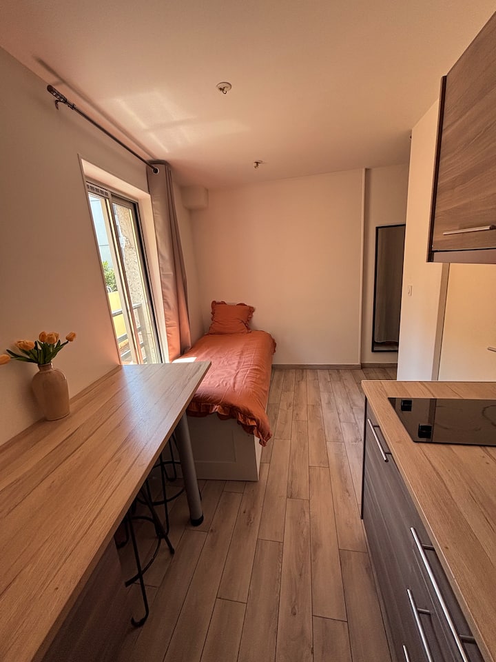 Studio Tout Confort, Proche Genève. - Annemasse