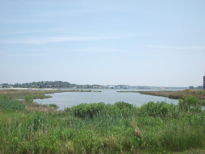4br With Bay Views. Amenities - Delaware