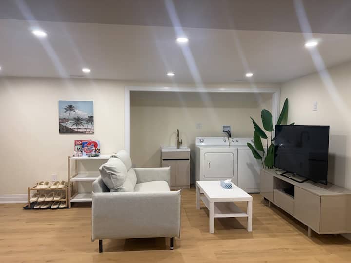 Newly Renovated Modern Basement In Richmond Hill - Ontario