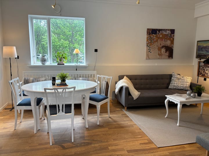 Bright Central Apartment Reykjavik - Reykjavik
