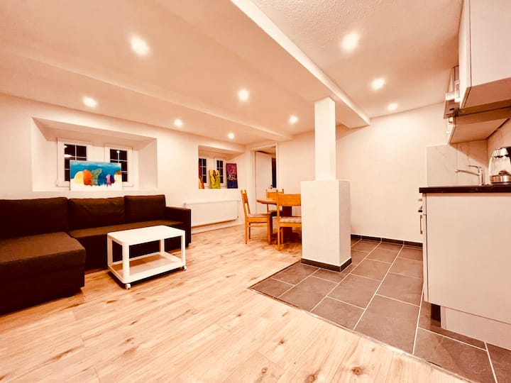 Newly Renovated Apartment In Swiss Alps - Pany