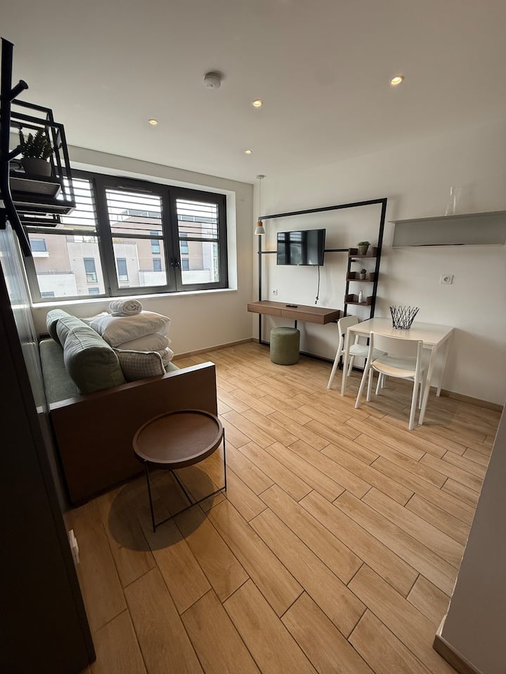 Albert Smart Studio 702 - Lyon