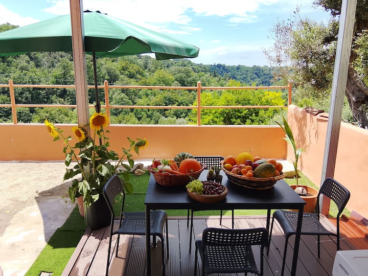 Appartamento Con Ampia Terrazza Nel Borgo - Pontedera