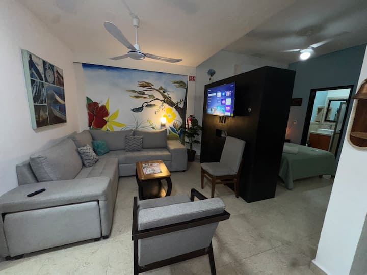 Downtown, Walking  5 Minutes To The North Beach - Isla Mujeres