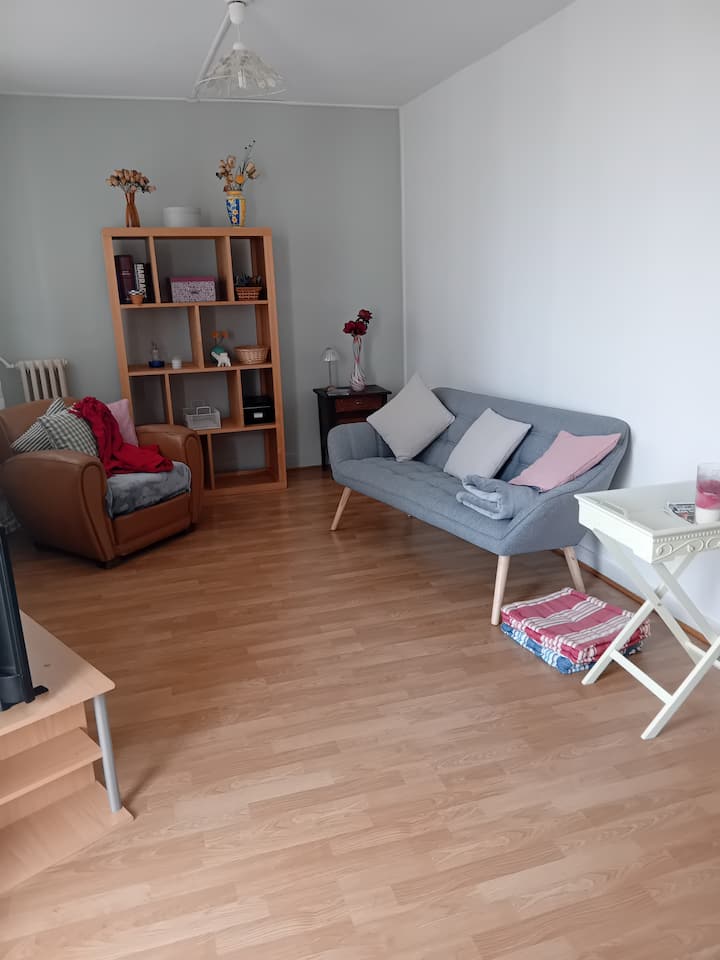 F3 Bis Meuble - Orléans