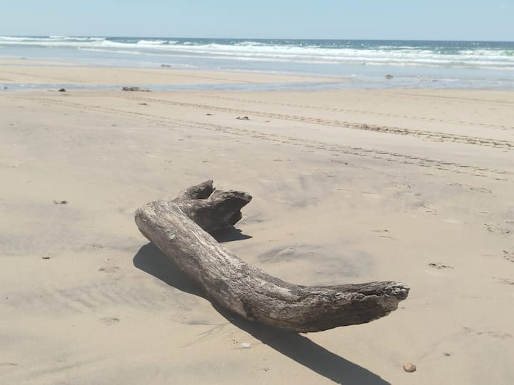 La Bleue Des Dunes - Biscarrosse