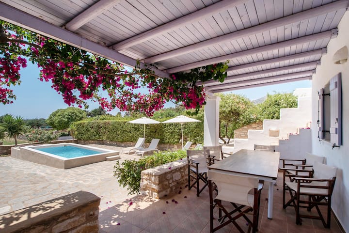 Blue Xenia - Villa  2 - Paros