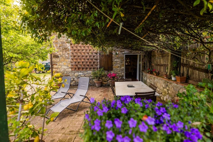 Vallone Di Cecione Pergola Flat - Radda in Chianti