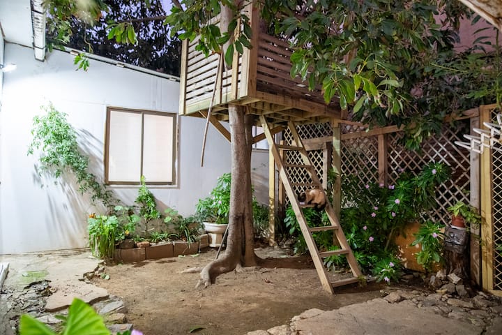 Amplia Casa En Valparaíso Con Patio Interior - Valparaíso, Şili