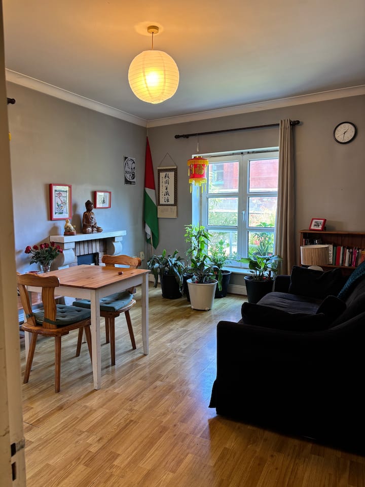 Cosy City Centre Apartment - ダブリン
