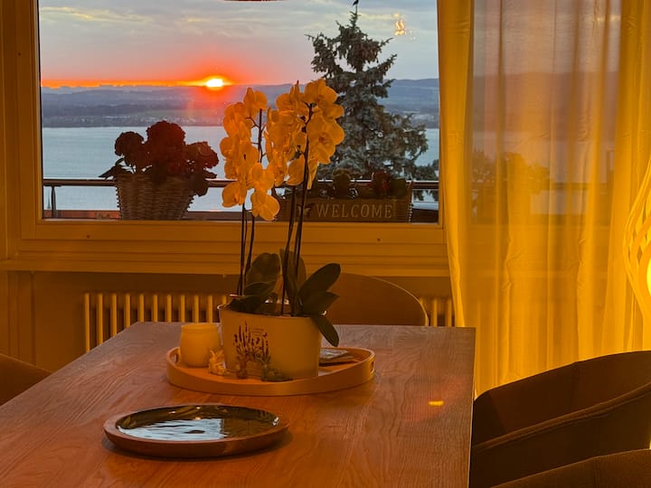 Very Nice  With View Of Lake And The  Mountain - Zug