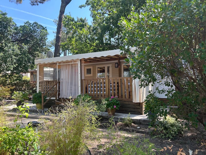 Bungalow Entier Piscines Et Jacuzzi Couvert - Lège-Cap-Ferret