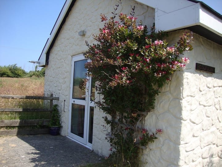 Cowslip Cottage At Gorslwyd Sound Healing Centre - Aberporth