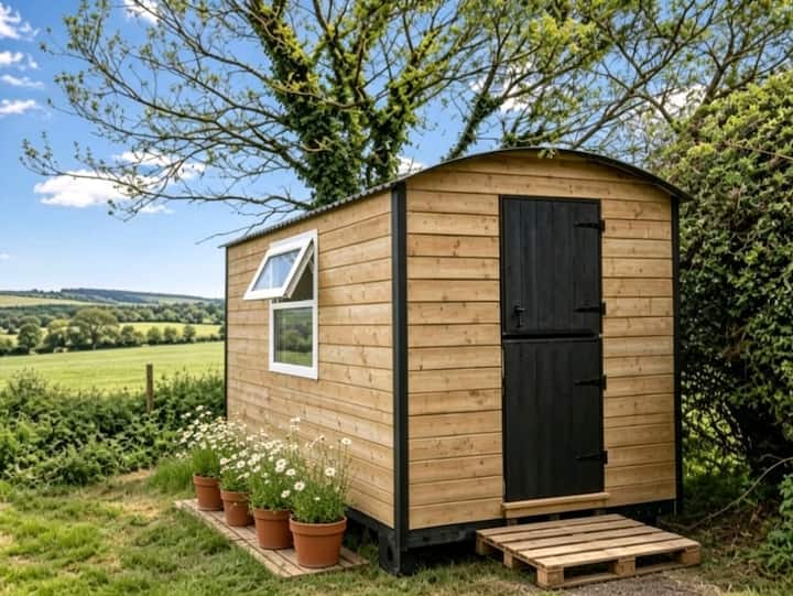 Daisy, The Hidden Hut - Helston