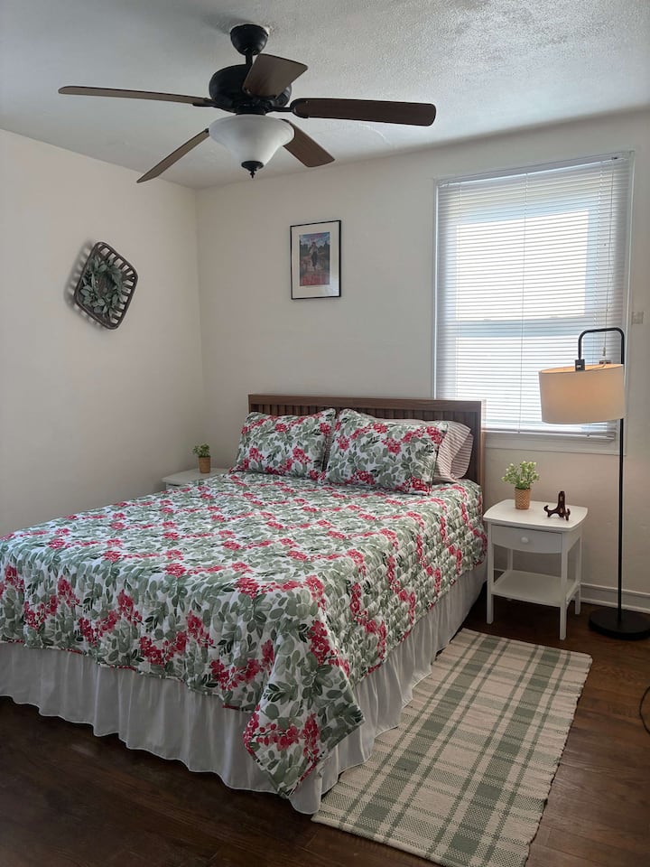 Epic Boomtown Bungalow, Plush Beds, Beside Park - Fort Patrick Henry Lake, TN