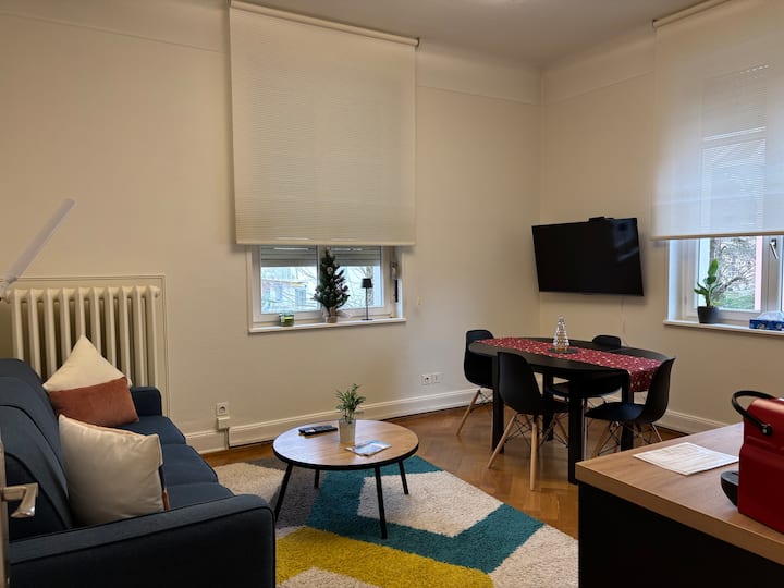 Spacious Apartment In A Beautiful Part Of Colmar - Ibis Budget Colmar Centre Gare